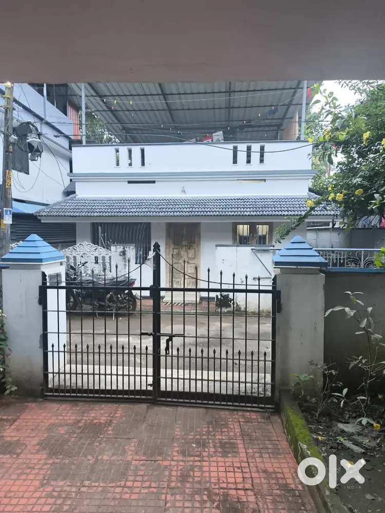 Home type male PG available with Homly food - PG & Guest Houses in ...