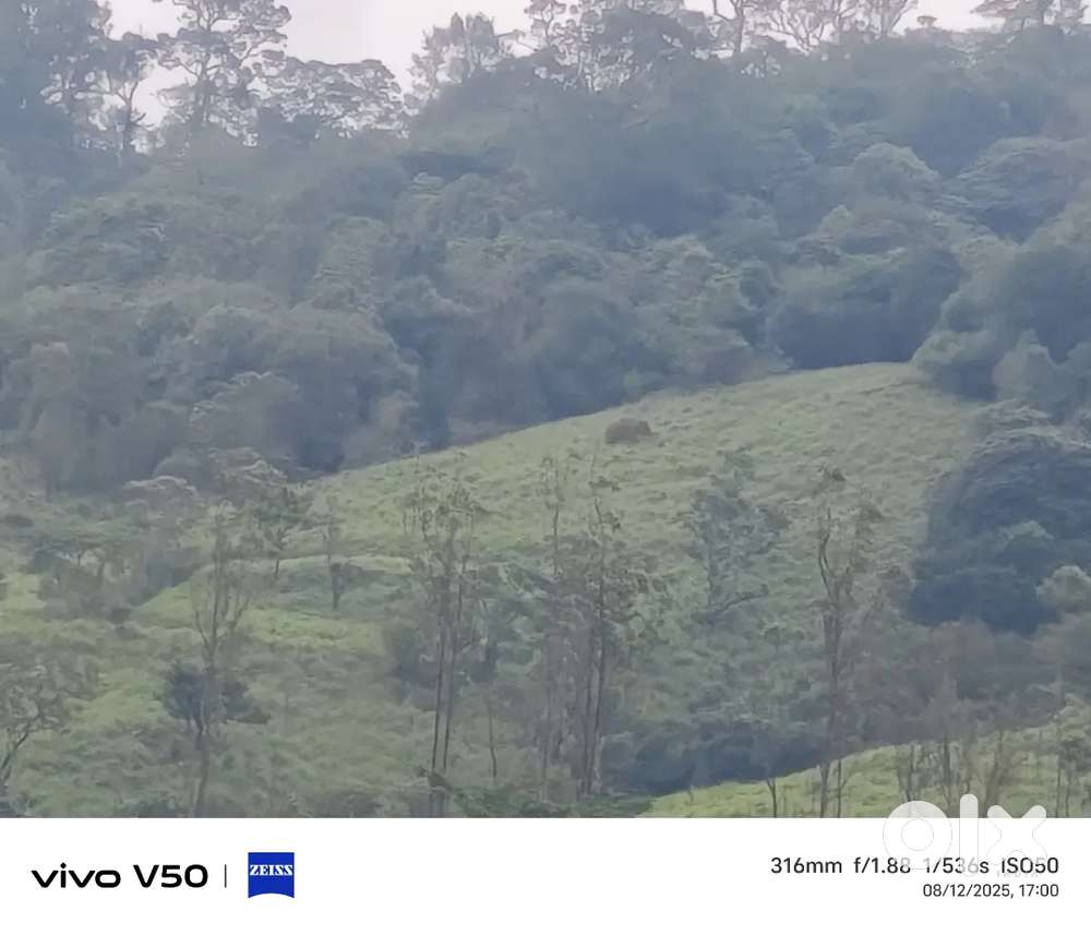 2 Acre Forest View Land for Sale in Vagamon- elephant view property ...