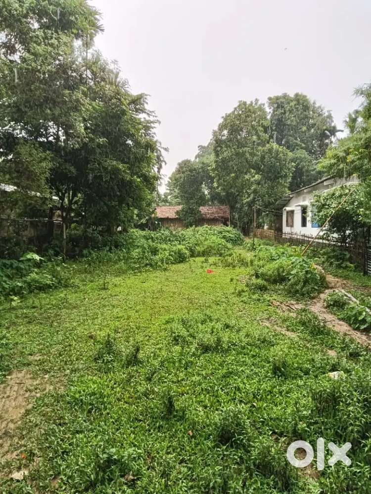 Roadside plot for sale - Lands & Plots - 1798473734