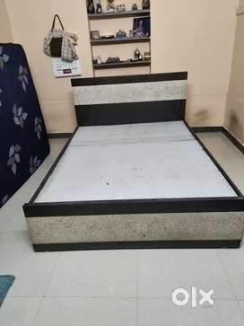 Olx double cot store