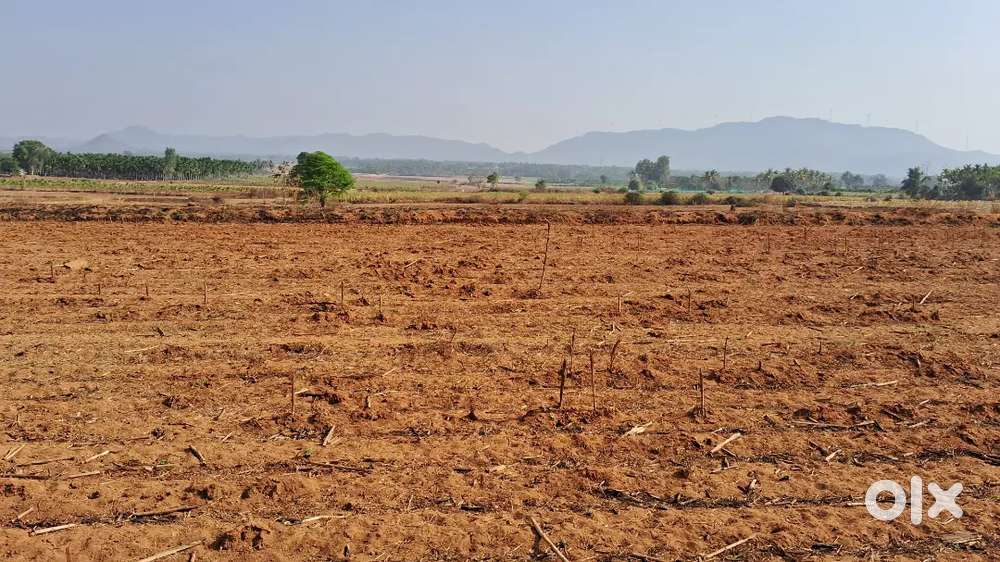 Agriculture land for sale, 5.09 acre 1.10 acr karabu total 6.19 acre ...