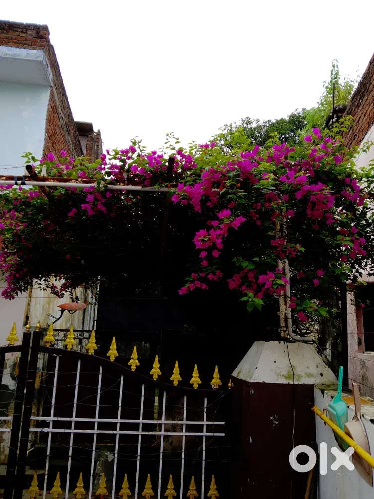 Spacious Room with Attached Bathroom in Civil Lines Peaceful Location ...