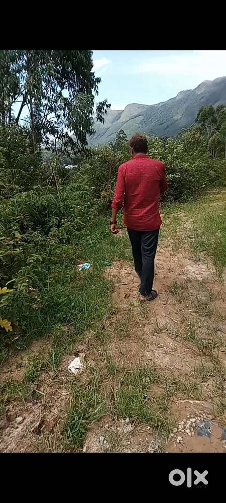 10 cent Beautiful hilltop land suitable for Resort and Homestay - Lands ...