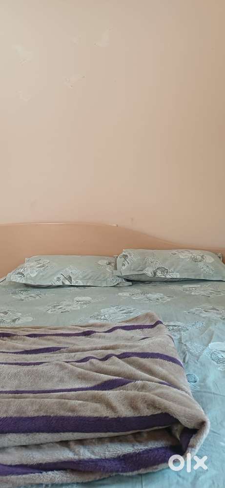 Premium Room for ladies - For Rent: Houses & Apartments in Mankavu ...
