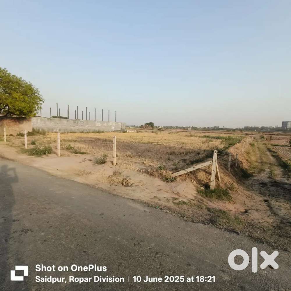 2420 gaj land for sale - Lands & Plots - 1810156456