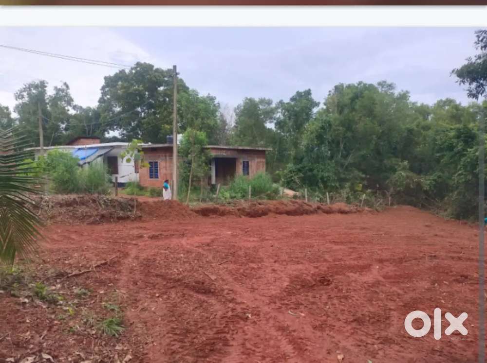 House plot - Lands & Plots - 1820042522