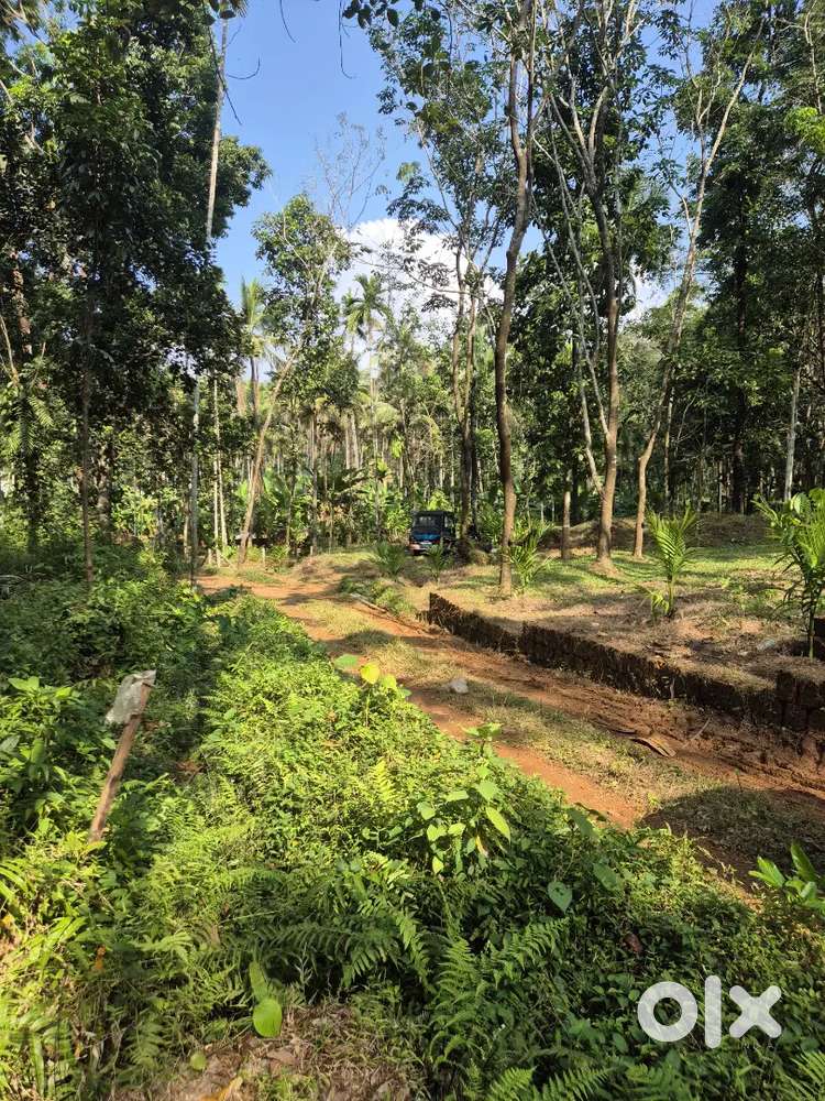 46 cent plot for sale, 2km from Iritty bus stand - Lands & Plots ...