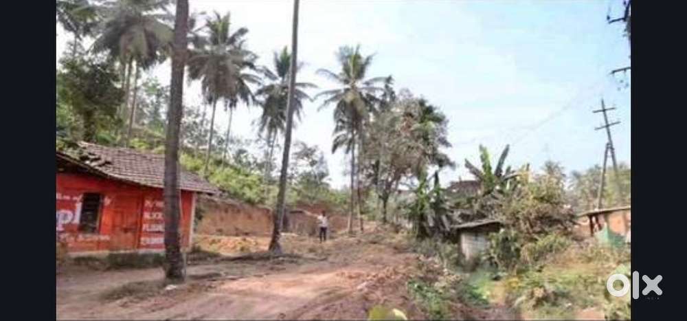 13 cent plot for sale - Lands & Plots - 1818064992