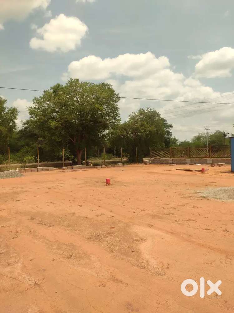 Plot layout - Lands & Plots - 1819271205