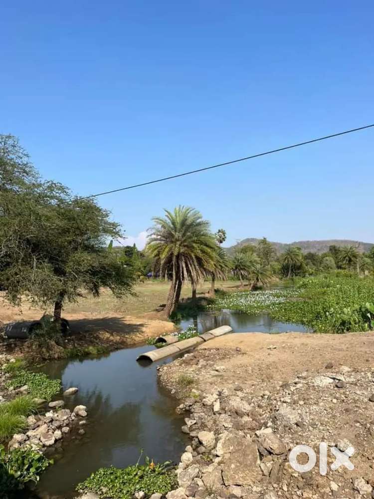 Road touch Title Clear 3.5 Acre at Vangaon E ,Dahanu@50 lacs per acre ...