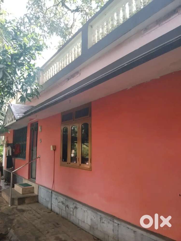 Individual House - For Sale: Houses & Apartments - 1823975885