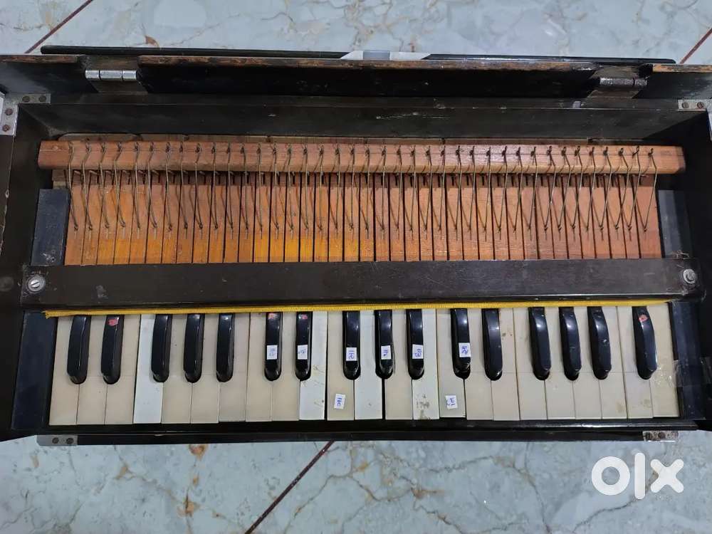 Good Harmonium - Musical Instruments - 1793809868