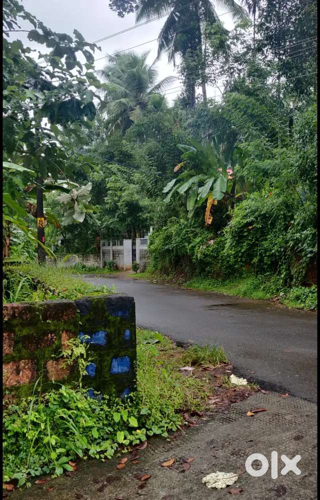 10 cent plot - Lands & Plots - 1813927121