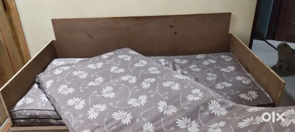 Good condition Gadda - Beds & Wardrobes in Musakheri, Indore - 1831586389