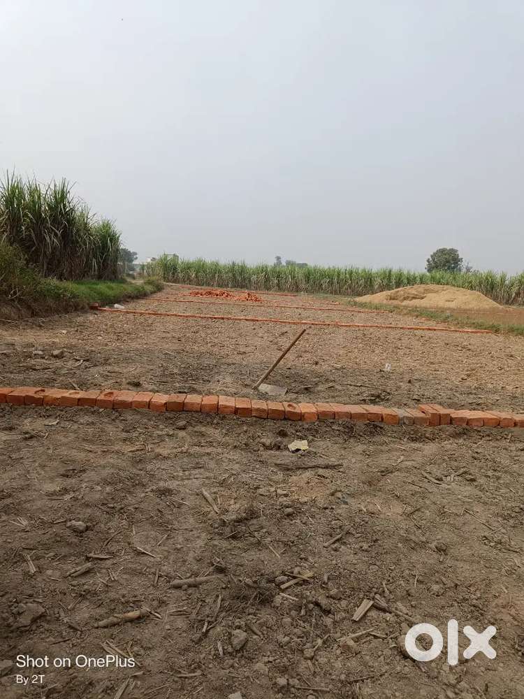 200gaj pilot 10,500per gaj price - Lands & Plots - 1821599939