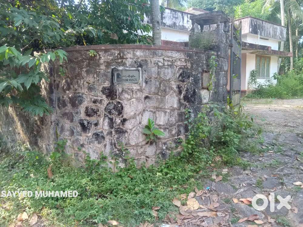 17 cent land with 3 BHK HOUSE - For Sale: Houses & Apartments - 1826169556