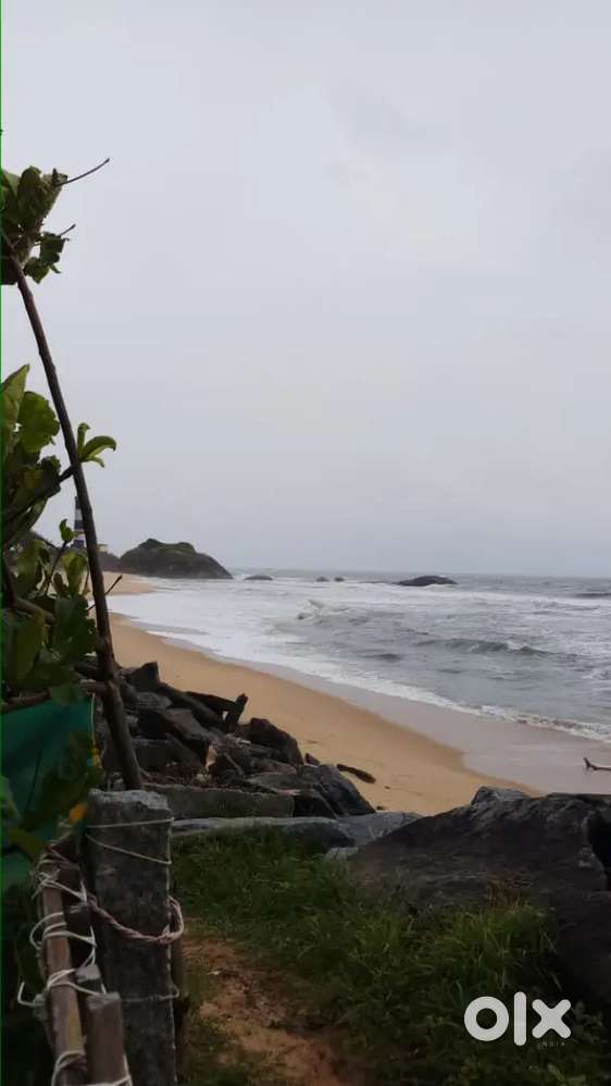 Beach side land 4.70acre - Lands & Plots - 1799747753