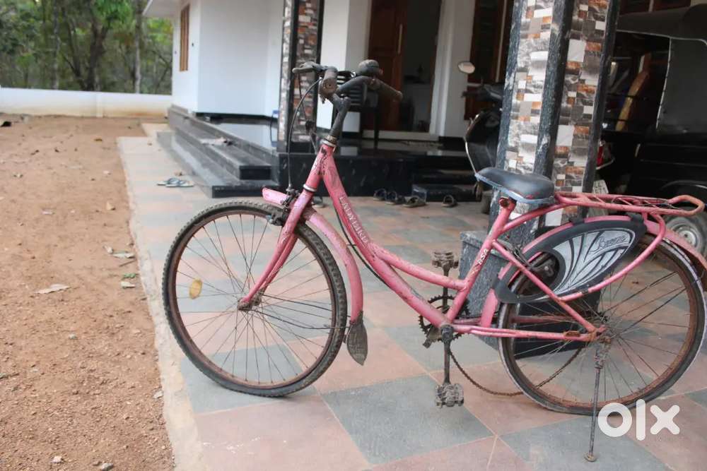 Lady bird cycle olx store