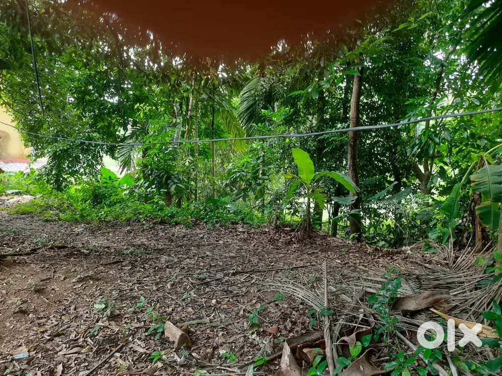 5 CENT LAND NEAR RIVERSIDE - Lands & Plots - 1806197801