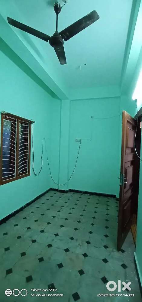 ROOM RENT AVAILABLE - For Rent: Houses & Apartments - 1817381919