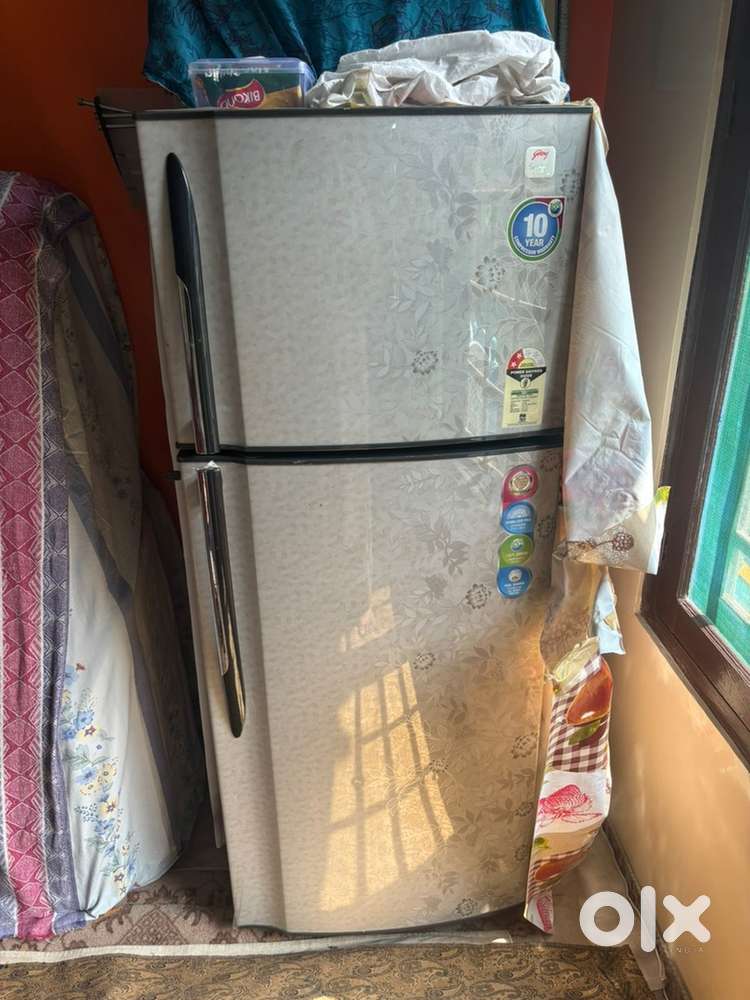 Refrigerator - Fridges - 1811598178
