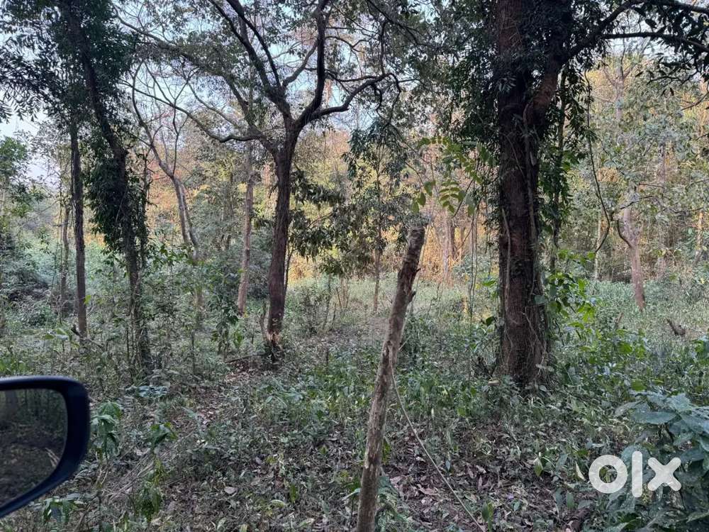 8000 sq mtr @700 in panchwadi shiroda - Lands & Plots - 1799459979