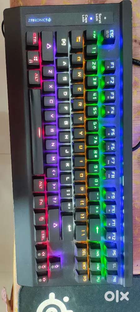 ZEBRONICS MAX MECHANICAL GAMING KEYBOARD - Computer Accessories ...