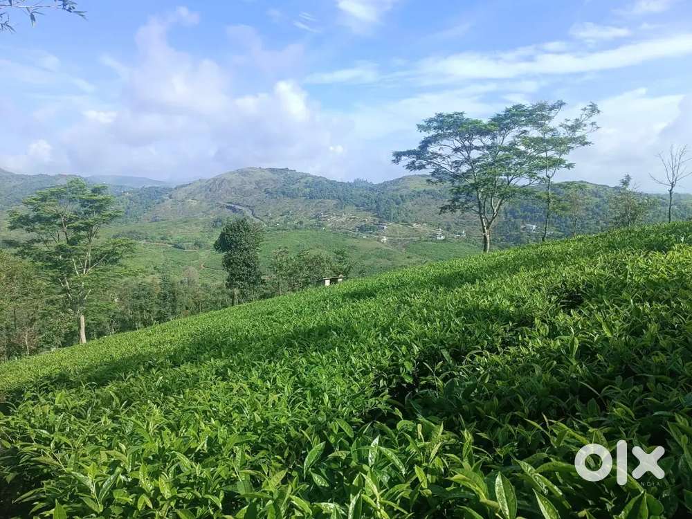 Vagamon Town Near 5km in 42 cent LA Pattayam Land for sale - Lands ...