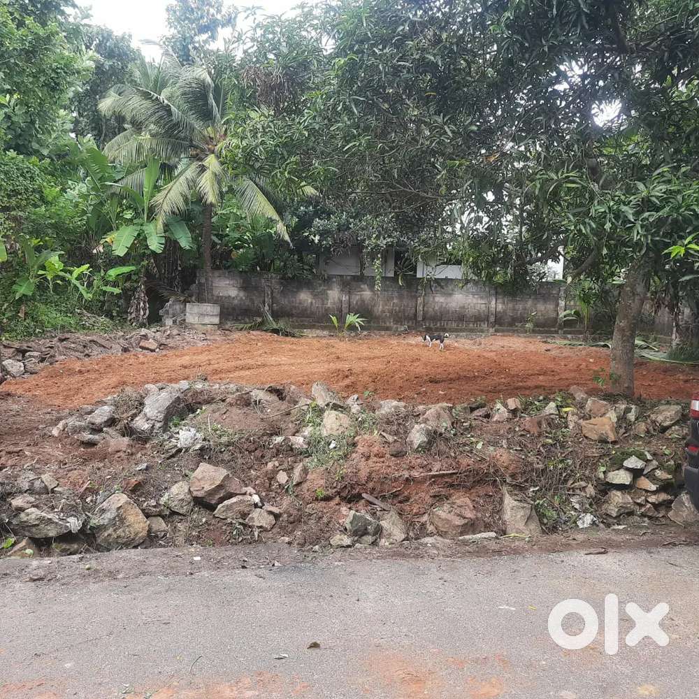 8.5 cent plot for sale - Lands & Plots - 1825995120
