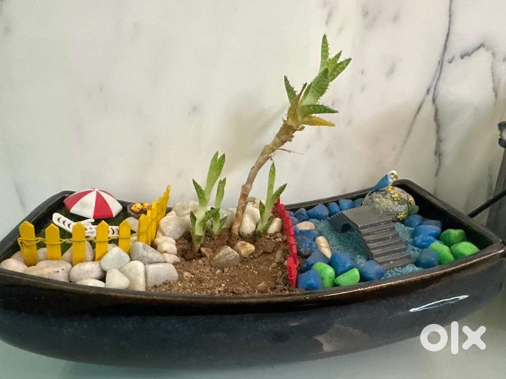 Luxury gifting plants - Home Decor & Garden in Old Houring Board ...