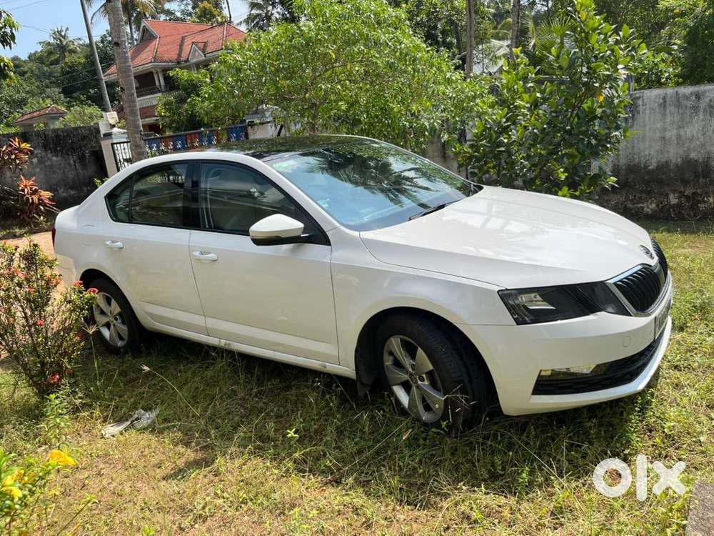 Skoda Octavia - Cars - 1793795299