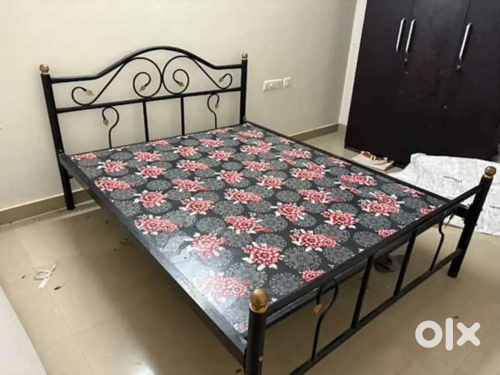 Queen sized Iron Cot- Used for 6months - Beds & Wardrobes - 1820535967