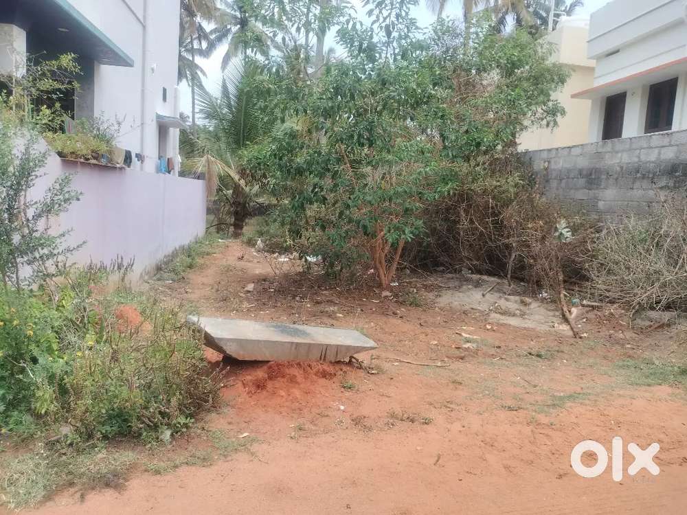 ROCK REAL ESTATE - Lands & Plots - 1801307542