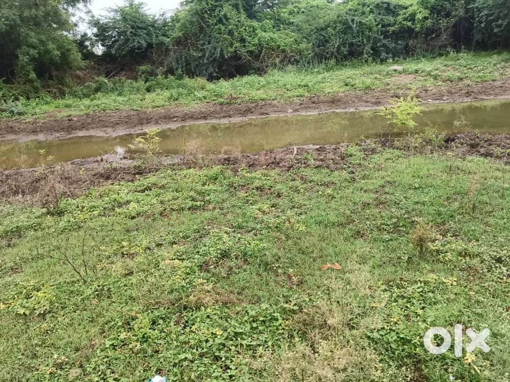 Vijayawada - Sale of commercial land in jupudi Taar road facing - Lands ...