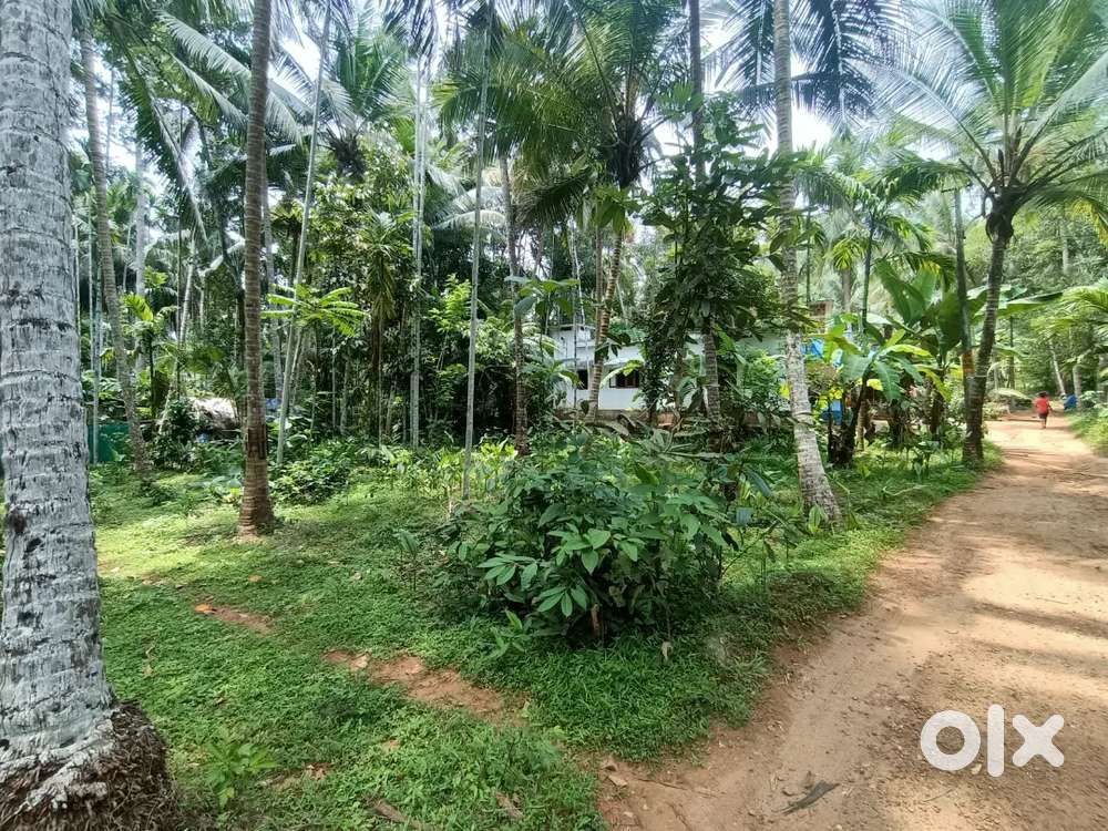 10 cent plot for sale in manipuram - Lands & Plots - 1808107313