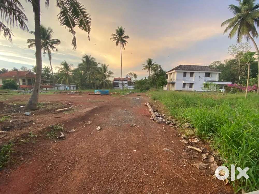 8cents land at Thuruthy, Changanacherry - Lands & Plots - 1814108579