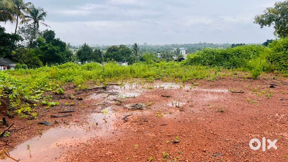 3 cent house plot - Lands & Plots - 1817115926