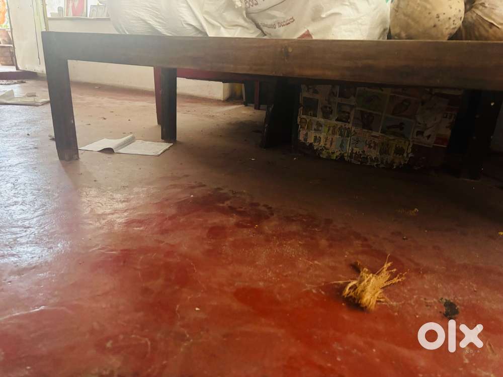 The 8 cots that have never been used - Beds & Wardrobes - 1828360216