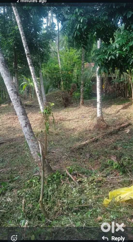 10.3 cent plot for sale 22 lakhs - Lands & Plots - 1817230140