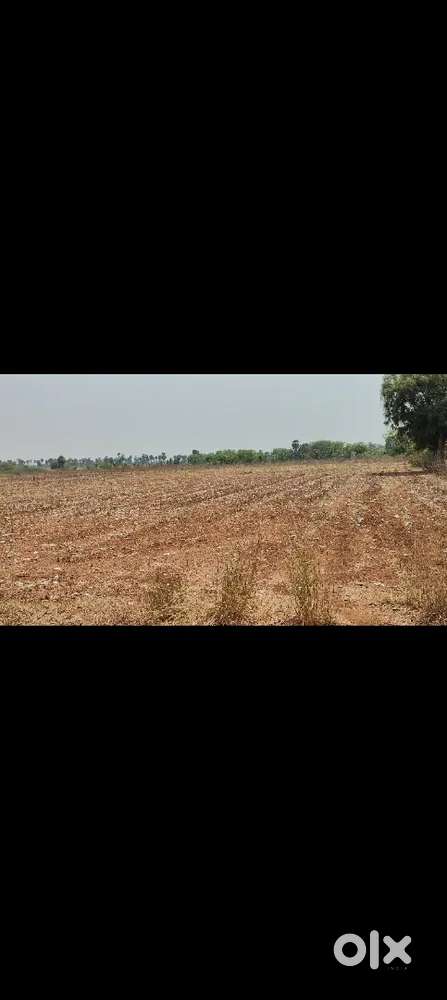 3 Acres Land for sale - Lands & Plots - 1808338689