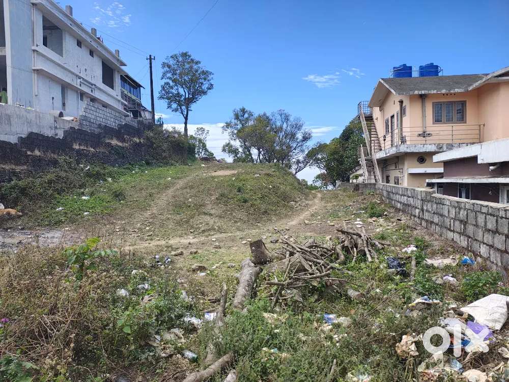 Kuttykkanam Mariyan College Near 70 cent L A pattayam Land for sale ...