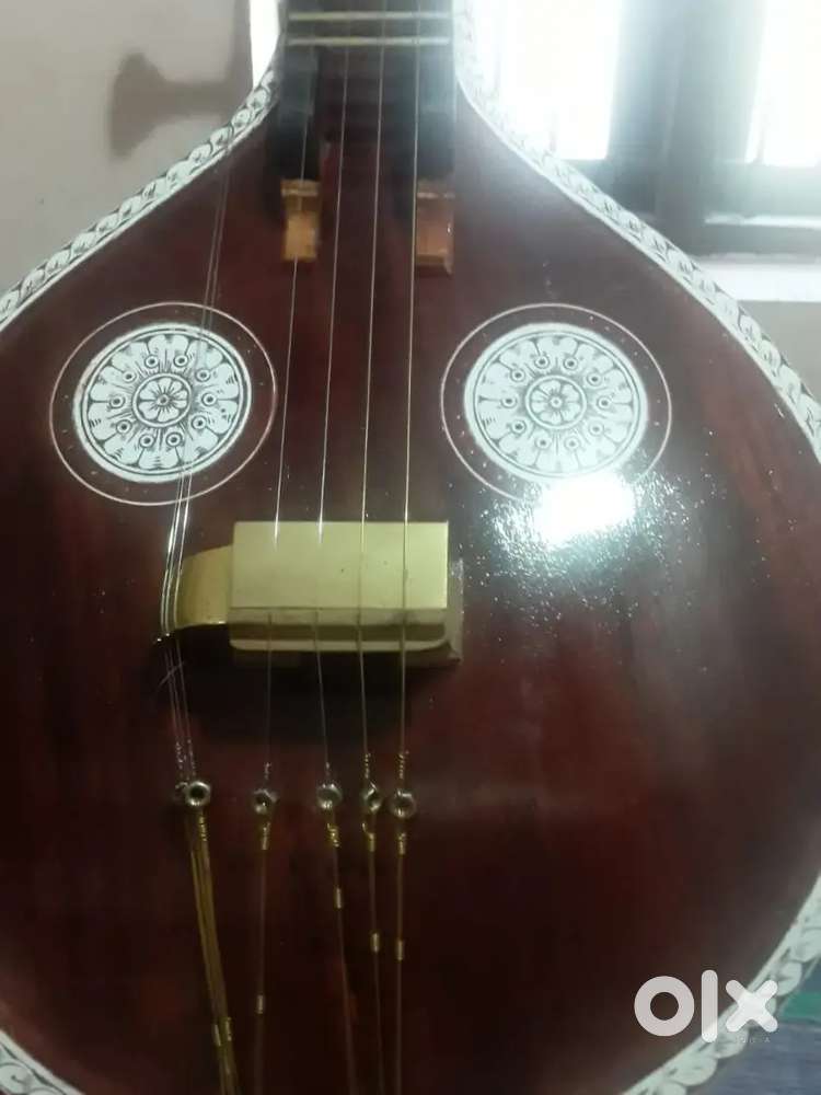 Veena instrument - Musical Instruments - 1807095075