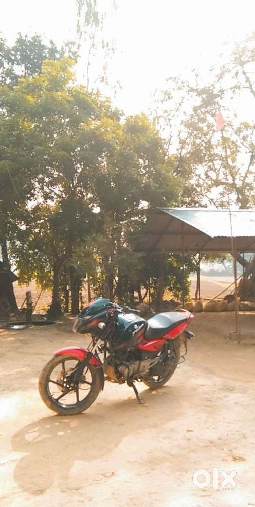 Pulsar 150 - Motorcycles - 1802499885