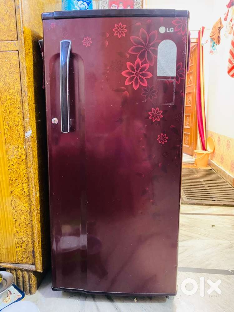 LG 165 Litre Fridge - Fridges - 1807397794