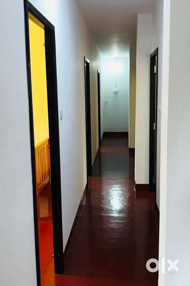 Executive Bachelor Room - For Rent: Houses & Apartments - 1818299381