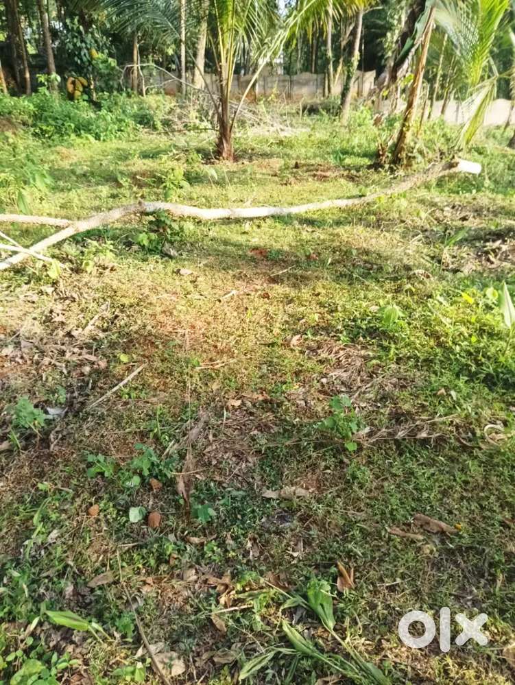 Atholi kodasseri plot for sale.. - Lands & Plots - 1809832193