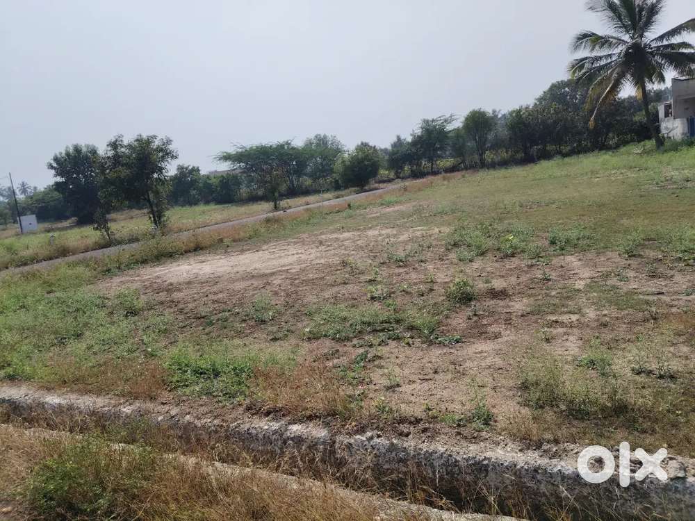 திண்டல் மேட்டுக்கடை அருகே DTCP PLOTS விற்பனை - Lands & Plots in Thindal ...
