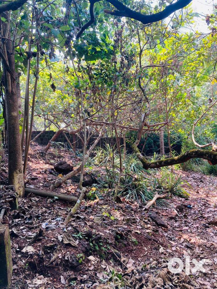 Lands & Plots for sale in Goa | OLX