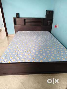 Double bed price in olx store