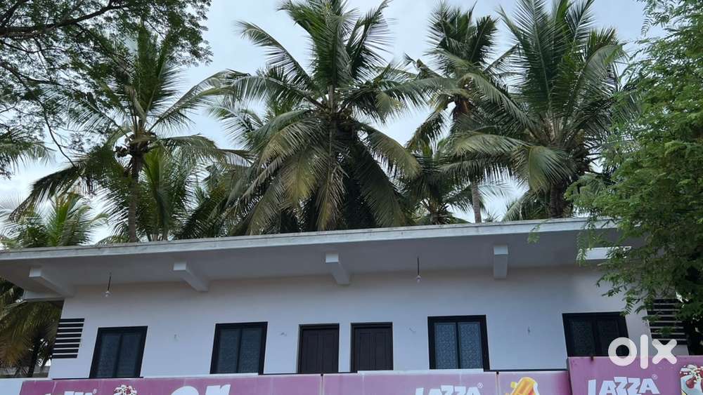 Bachelor room. - For Rent: Houses & Apartments - 1807389363